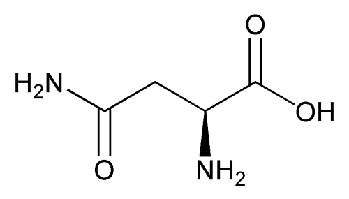 Asparagine