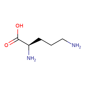 ORNITHINE, D-