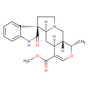 MITRAPHYLLINE