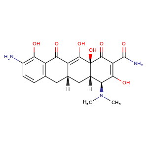 AMICYCLINE