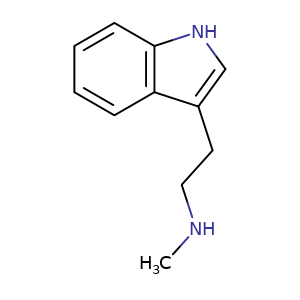 N-METHYLTRYPTAMINE