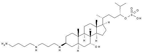 Squalamine, MSI-1256F(lactate)-药物合成数据库