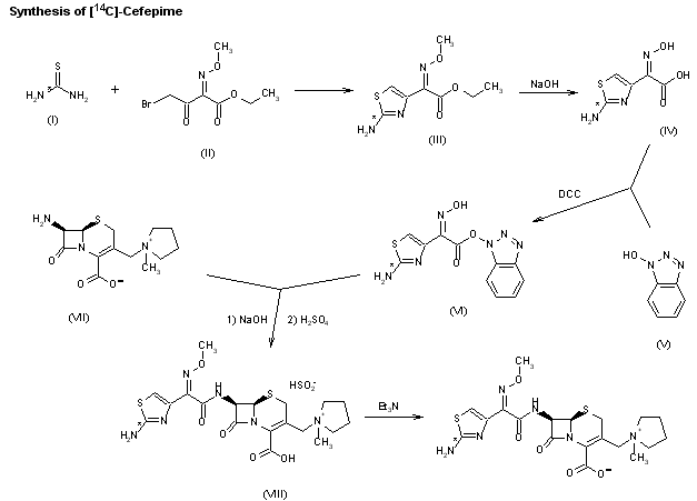 Cefepime, BMY-28142, Axepim, Maxipime-药物合成数据库