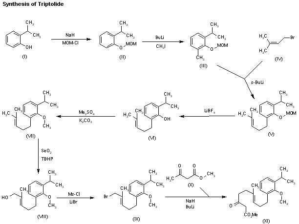 Triptonide-药物合成数据库