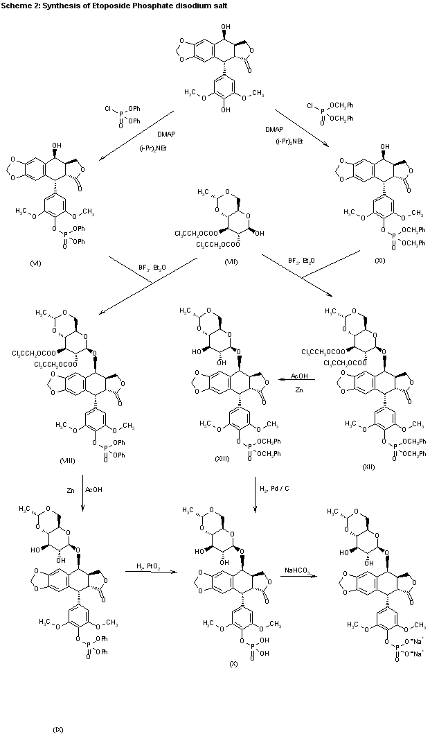 Etoposide phosphate disodium salt, BMY-40481(free acid), BMY-40481-30 ...