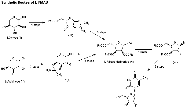 Clevudine, Levovir, L-FMAU-药物合成数据库