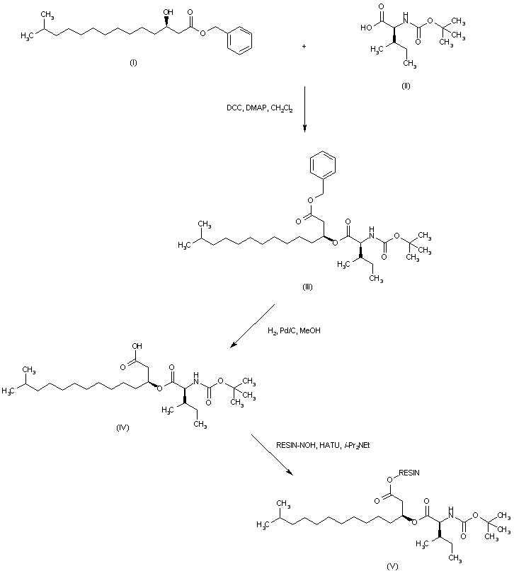 N-4909-药物合成数据库