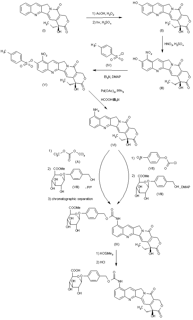 9-Aminocamptothecin glucuronide, 9-ACG-药物合成数据库