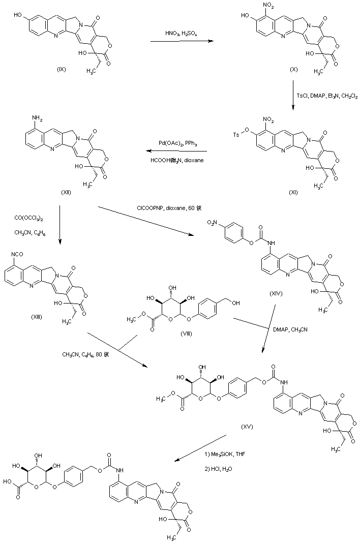 9-Aminocamptothecin glucuronide, 9-ACG-药物合成数据库