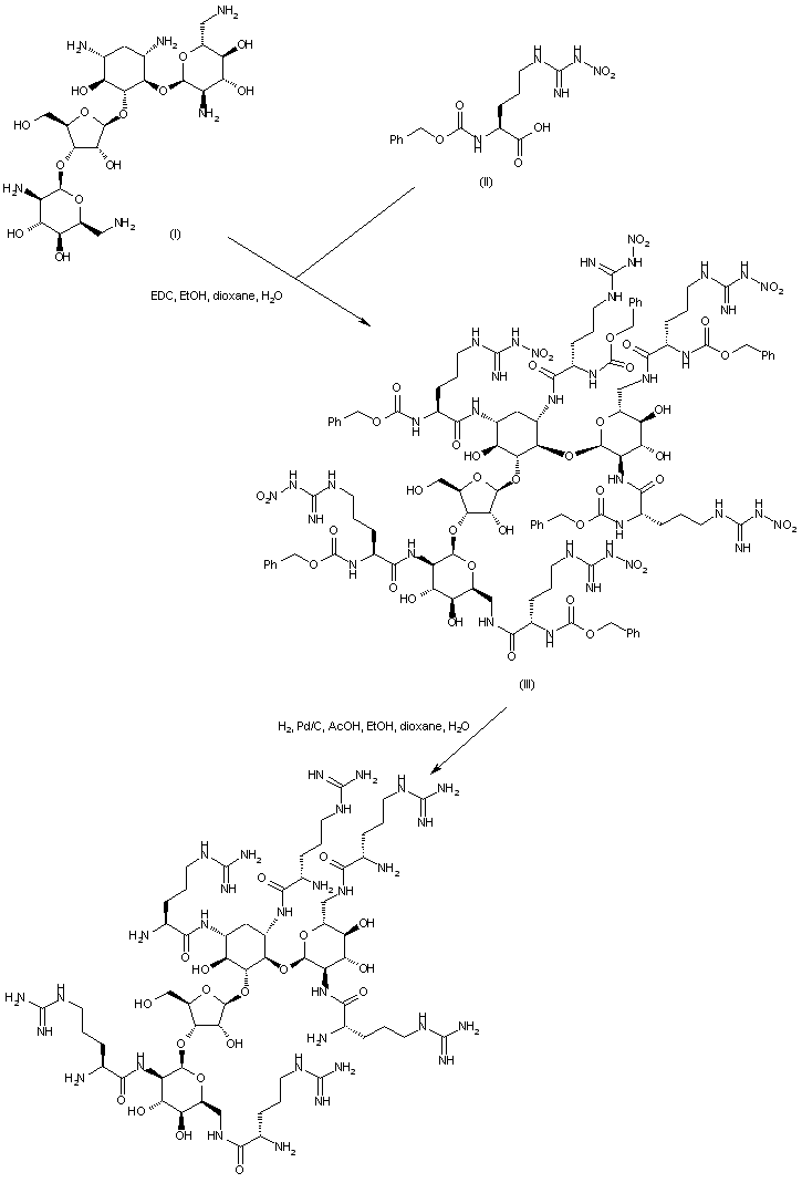 Neomycin B-arginine conjugate, Neomycin B-hexaarginine conjugate, NeoR6 ...