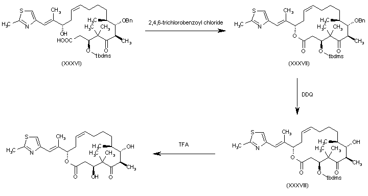Epothilone A, Epothilone A-药物合成数据库